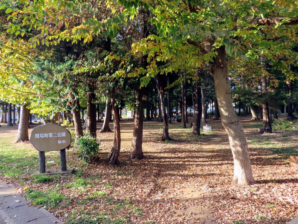 Kültür ve eğlence parkları 関場町第二公園, , foto