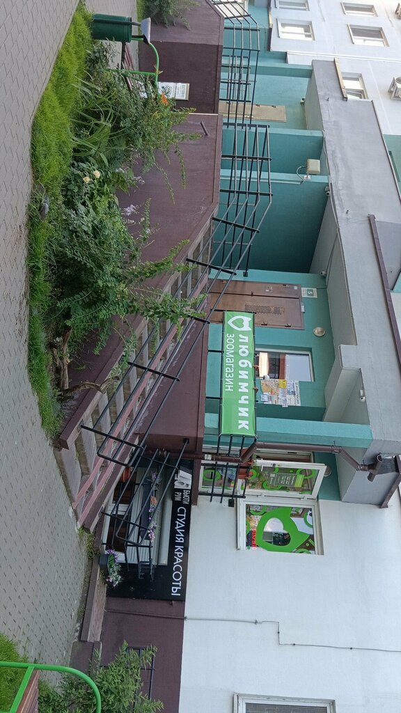 Petshop My lovely pets, Minsk, foto