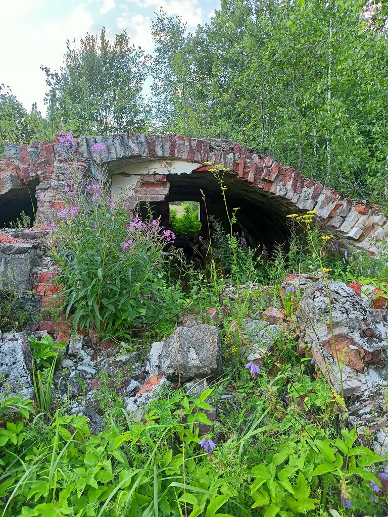 Turistik yerler Достопримечательность, Saint‑Petersburg ve Leningradskaya oblastı, foto