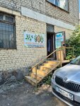Artificial flowers (Bostandyk Street No:70), çiçekçiler  Petropavl'dan (Petropavlovsk'tan)