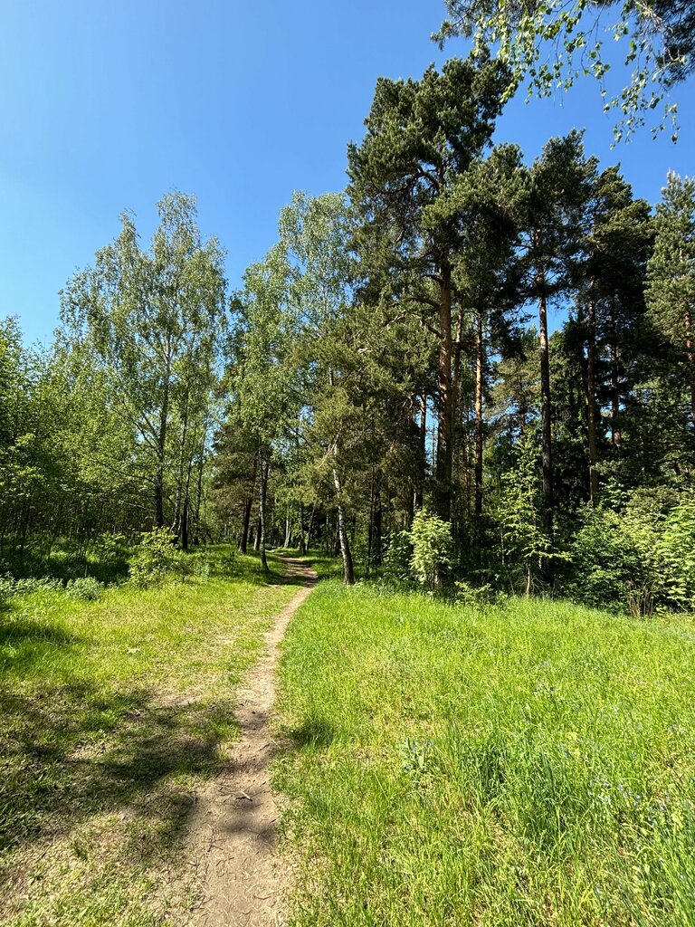 Kültür ve eğlence parkları Samarovskiy Forest Park, Koroliov, foto