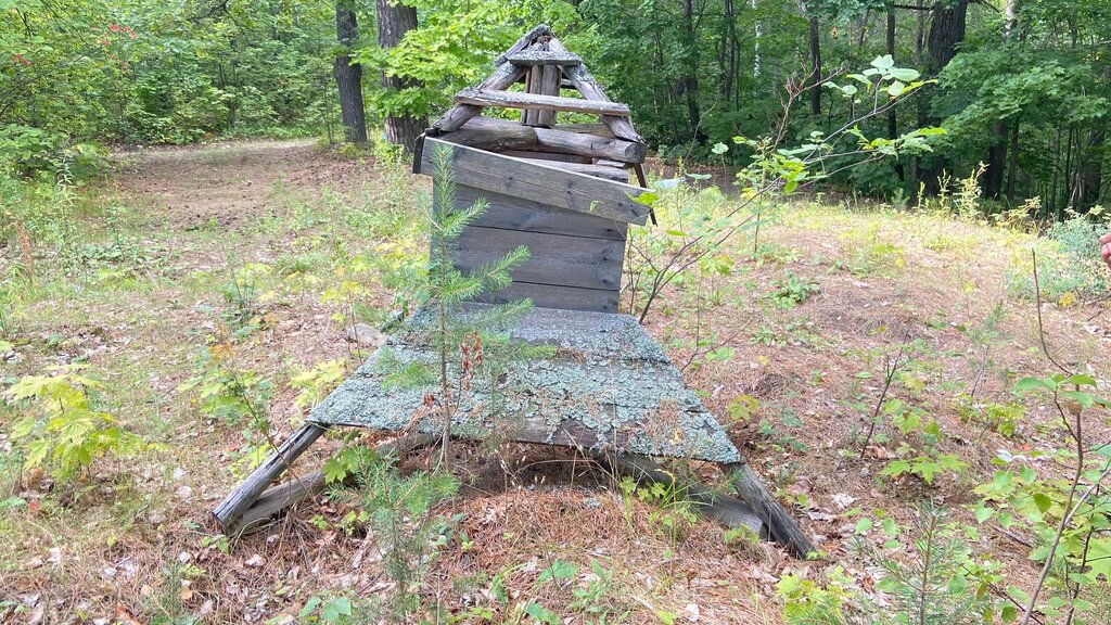 Ünlü kişilerin mezarları Могила подростка-сплавщика, Mariy El Cumhuriyeti, foto