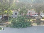 Министерство цифрового развития Кыргызской республики (Shopokov Street No:32), belediyeler, devlet daireleri  Celalabat'tan