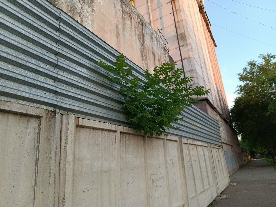 Gıda üreticileri Masloboyny zavod, Blagoveshchensk, foto