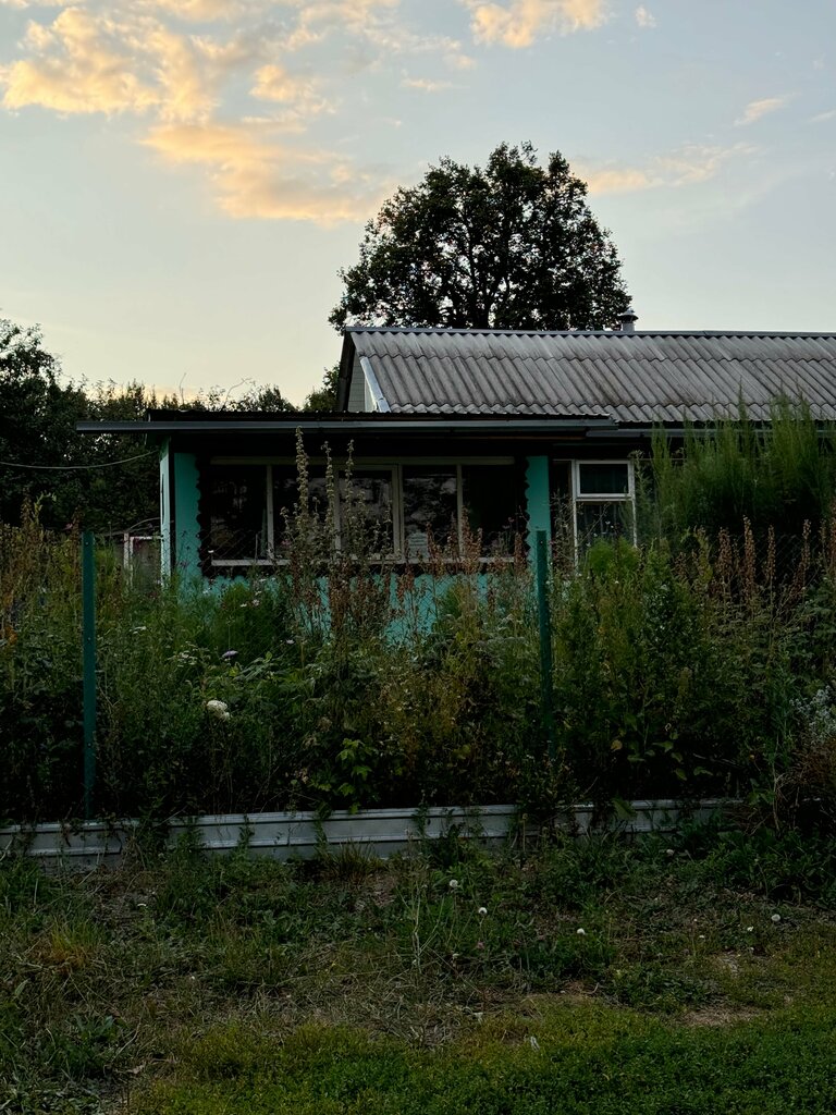 Market У Тони, Tulskaya oblastı, foto