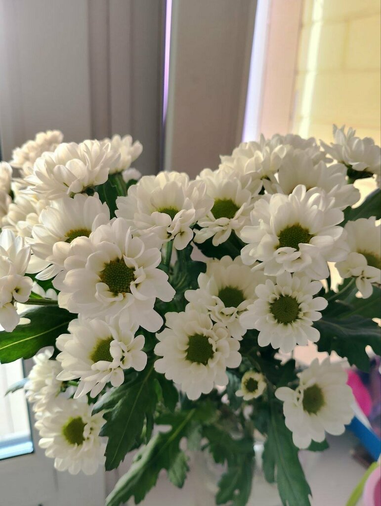 Çiçekçiler Цветы, Moskova, foto