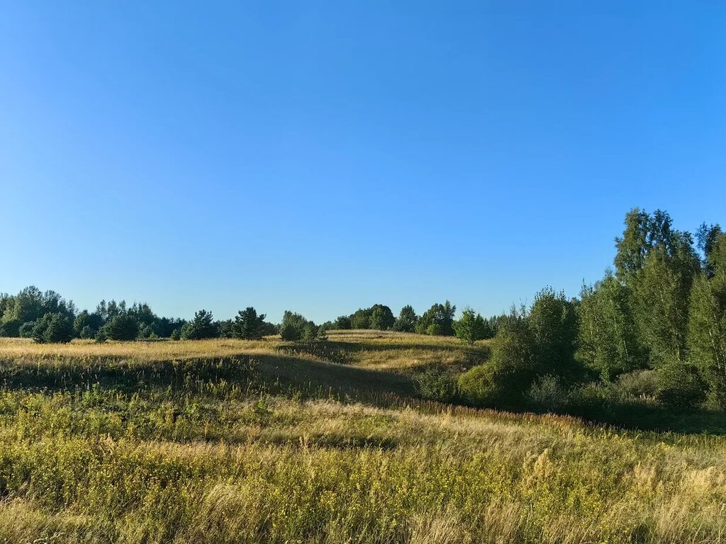 Turistik yerler Объект культурного наследия федерального значения Могильник культуры длинных курганов, Pskovskaya oblastı, foto