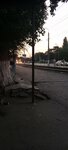Улица Маршала Рокоссовского (Golubinskaya Street No:9А, Volgograd), toplu taşıma durağı  Volgograd'dan