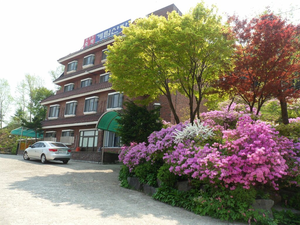 Otel Gyerim Sanjang Motel, Kangvon İli, foto