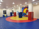 Ahilles (Maksimov Street No:27), spor kulüpleri  Kazan'dan