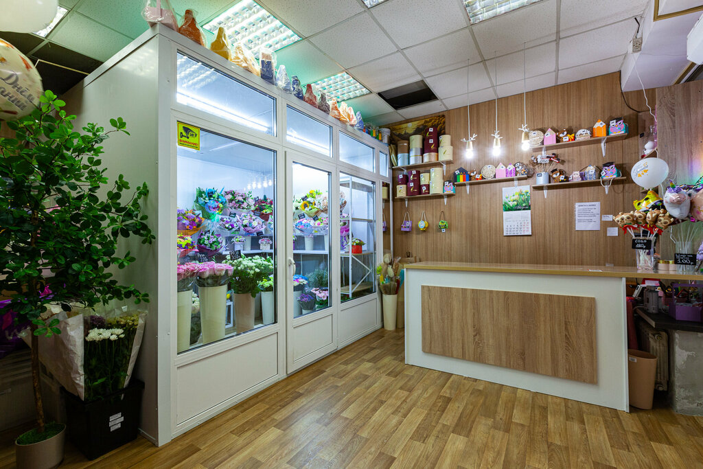 Çiçekçiler Diantus, Vidnoye, foto