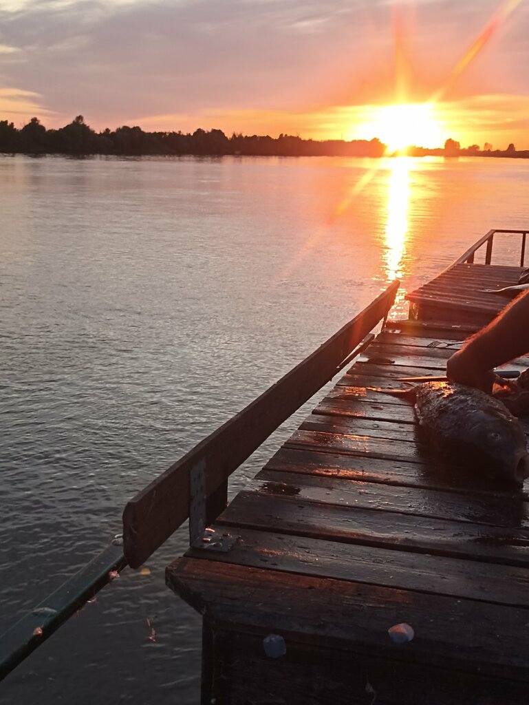 Resort oteller, tesisler Рыбацкий приют, Astrahanskaya oblastı, foto