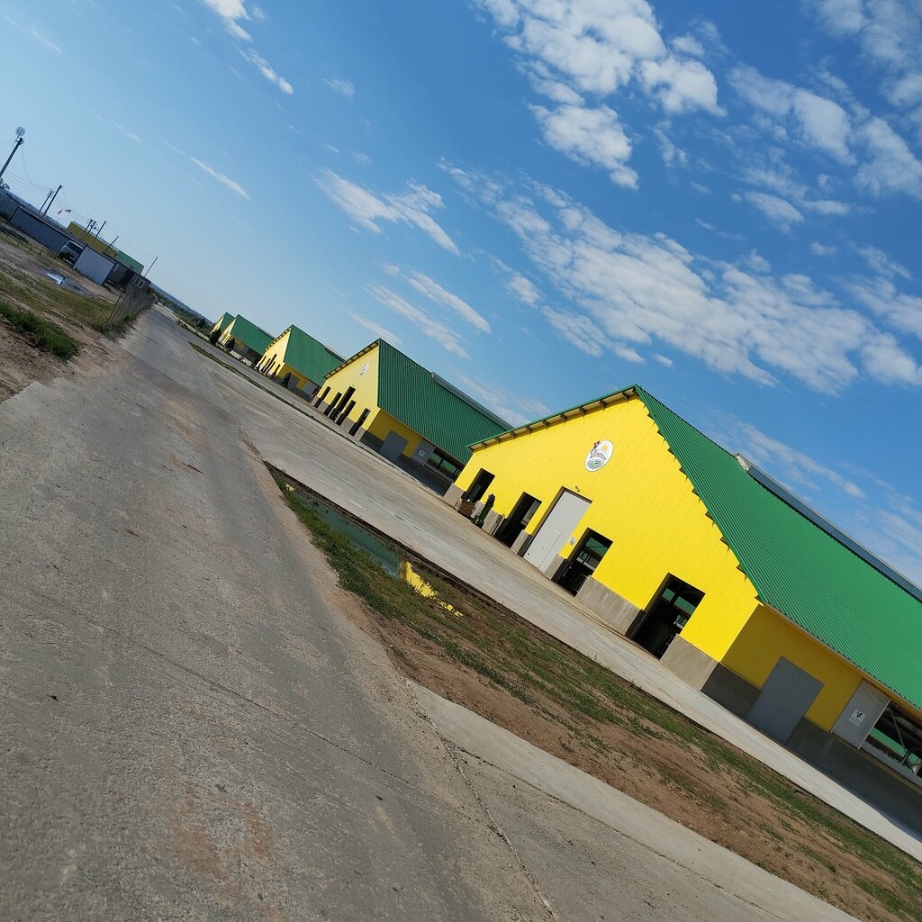 Hayvancılık Сельскохозяйственное предприятие Донское, кормовой склад, Volgogradskaya oblastı, foto