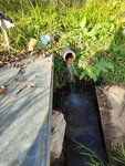 Spring, stream (Chuvash Republic, Cheboksary, Volzhskoye lesnichestvo), pınar, çay  Cheboksary'den