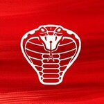 Cobra Cyber Arena (Rovetskaya ulitsa No:8), bilgisayar kulübü  Pinsk'ten