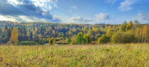 Смотровая площадка (Vologda Region, Babayevskiy munitsipalny okrug, posyolok Pyazhelka, 1-ya ulitsa), seyir terası  Vologodskaya oblastından