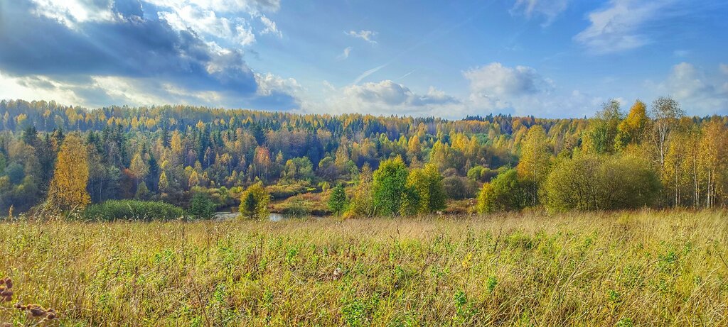 Seyir terası Смотровая площадка, Vologodskaya oblastı, foto