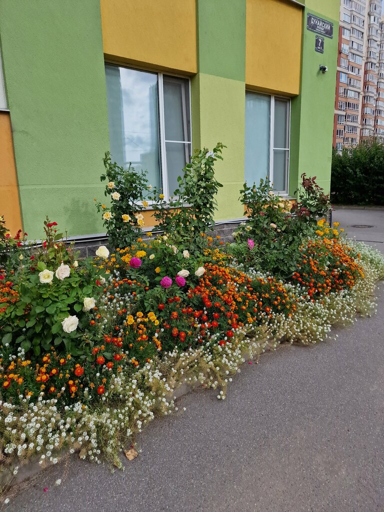 Anaokulları Детский сад № 80, корпус № 2, Saint‑Petersburg, foto