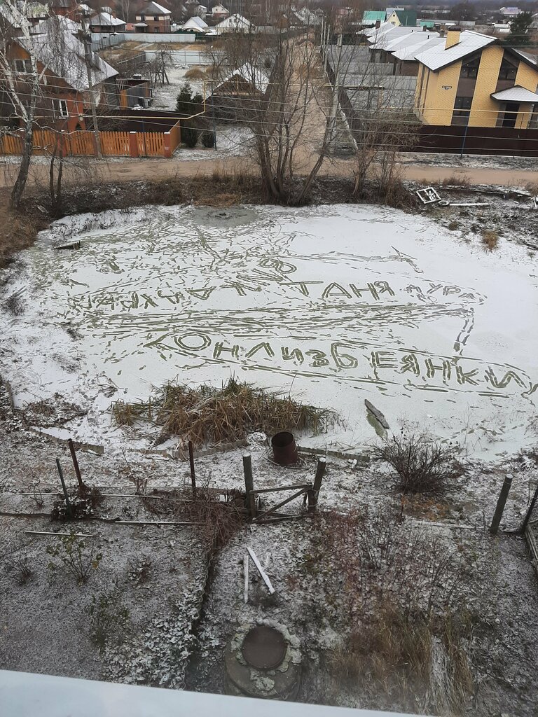 Oyun alanı Playground, Riazanskaya oblastı, foto