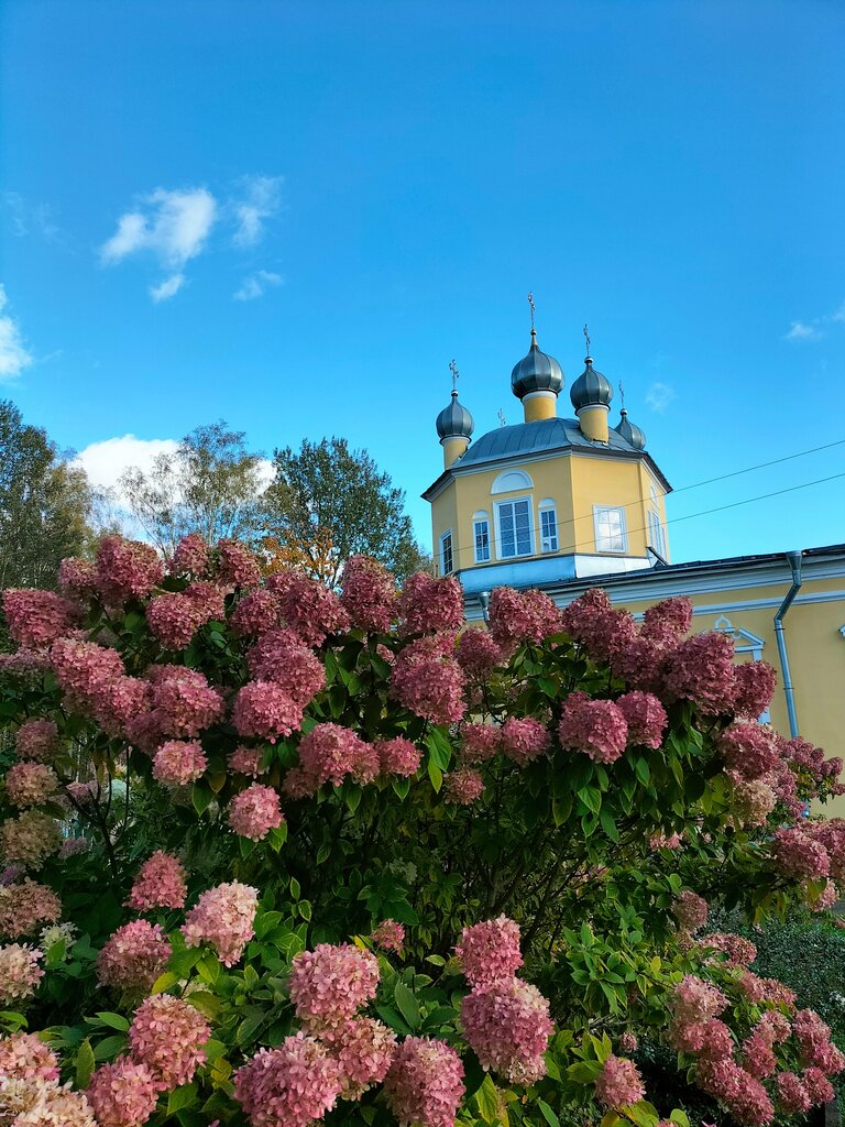 Manastır Антониево-Леохновский Спасо-Преображенский мужской монастырь, Novgorodskaya oblastı, foto
