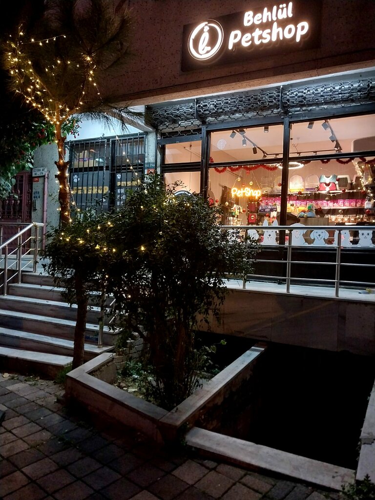 Petshop Behlül Petshop, İstanbul, foto