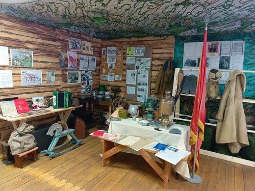 Müzeler ve sanat galerileri Народный музей Пеники, Saint‑Petersburg ve Leningradskaya oblastı, foto