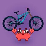 Velogarage 67 (ulitsa Nikolayeva No:69Б), bisiklet mağazaları  Smolensk'ten