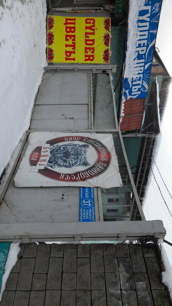 Spor kulüpleri Bojko, Almatı, foto