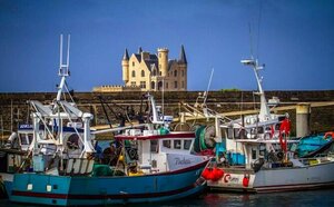 Cormoran huppé (Bretagne, Morbihan, Quiberon, Boulevard de la Teignouse), otel  Quiberon'dan