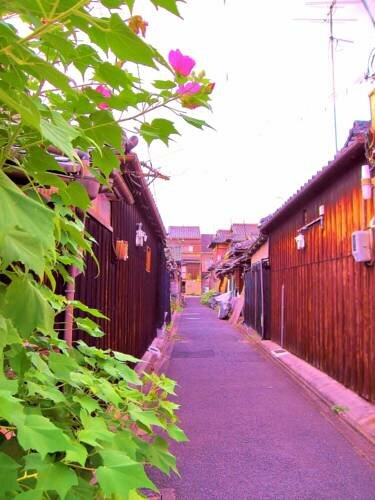 Otel Small World Guest House, Kyoto, foto