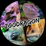 ZooDragon (Mitrofana Sedina Street No:118, Tsentralniy City administrative district, Tsentralniy Microdistrict), petshop  Krasnodar'dan