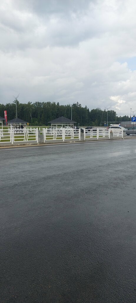 Yol kenarı dinlenme alanı Придорожная зона отдыха, Moskova ve Moskovskaya oblastı, foto