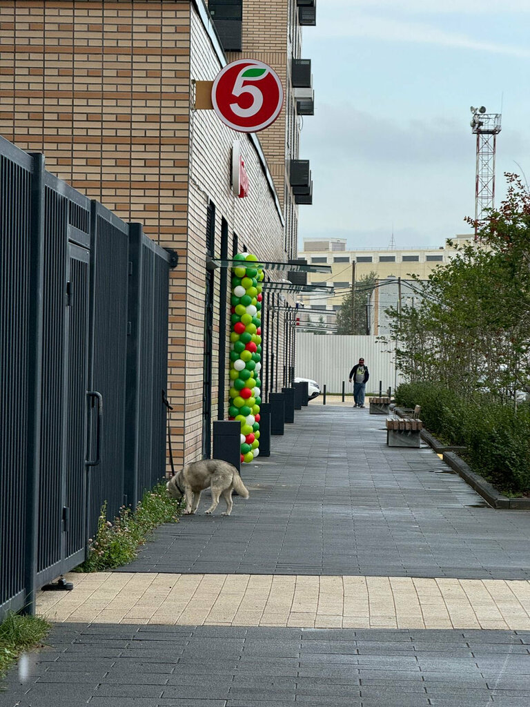 Süpermarket Pyatyorochka, Moskova, foto