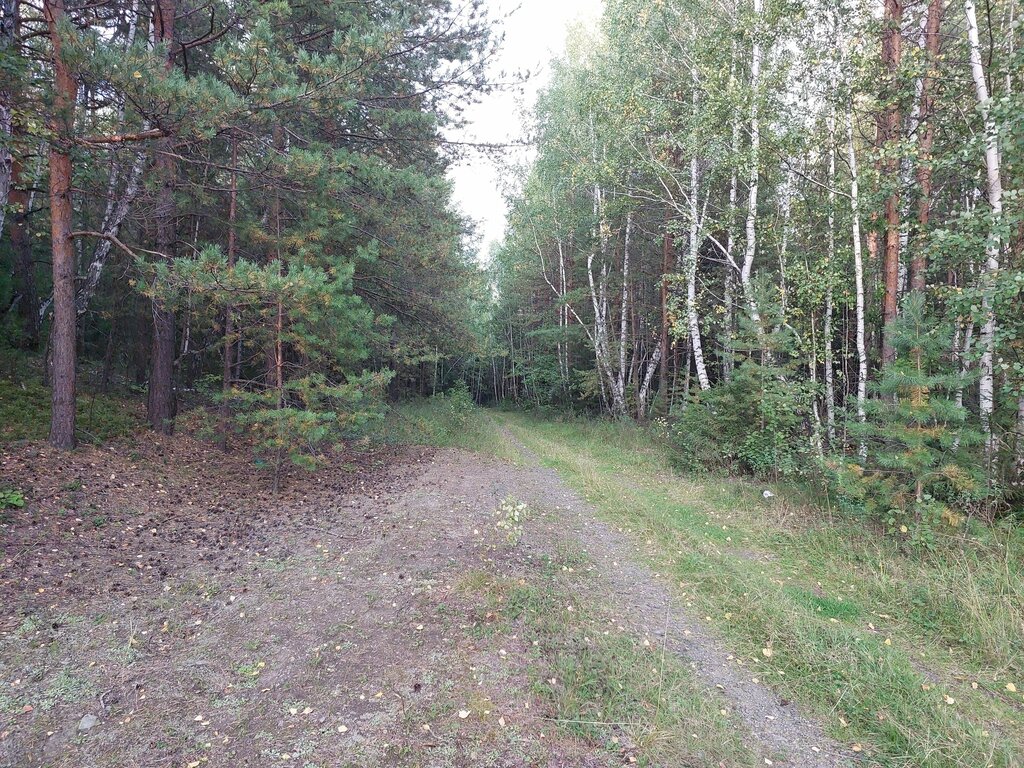 Dağ zirvesi Гора Тёплая, Sverdlovskaya oblastı, foto