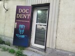 Doc Dent (Kurmanjan Datka Street No:252), özel ağız ve diş sağlığı klinikleri ve muayenehaneleri  Bişkek'ten