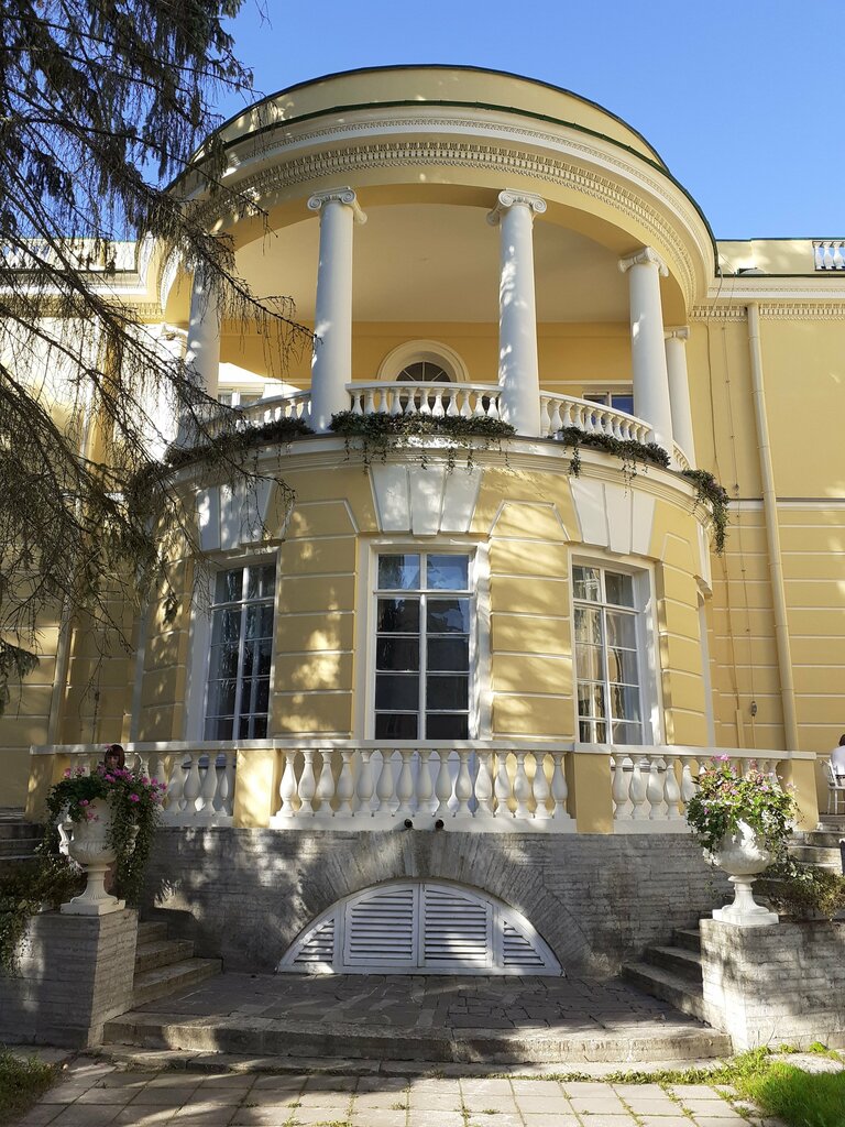 Eğitim merkezleri Kotchoubey Centre, Puşkin, foto