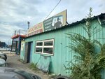 AutoSTEKLO (Ayuçenko street No:1А/4), otomobil camları  Semey'den