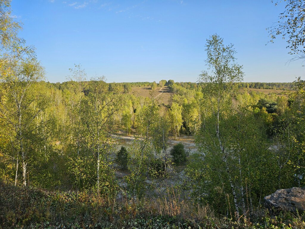 Turistik yerler Скальные обнажения известняков в долине реки Осётр, Tulskaya oblastı, foto