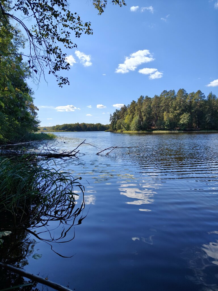 Piknik alanı Шестиуголка, Nijegorodskaya oblastı, foto