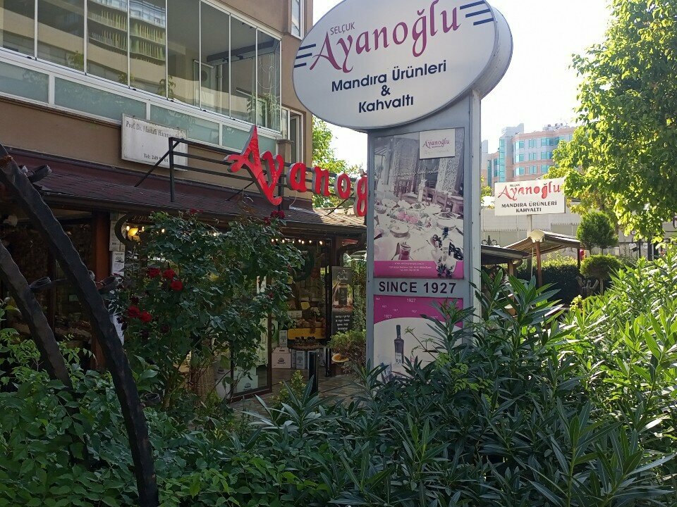 Restoran Ayanoğlu, Bursa, foto