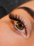 Lashes m. dvornikova (Pyatnitskaya Street No:71/5с2), kaş ve kirpik salonu  Moskova'dan