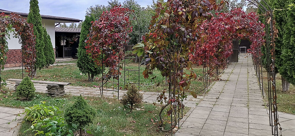 Huzurevi, bakımevi Appassionata, Moskova ve Moskovskaya oblastı, foto
