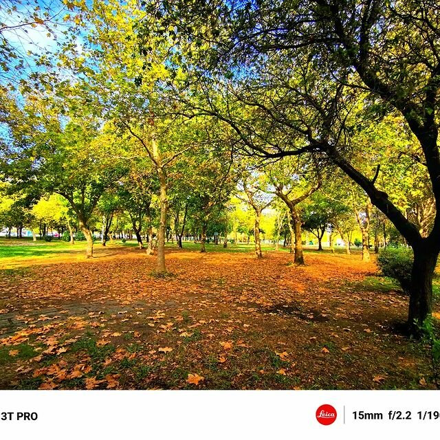 Turistik yerler Fazıl Ahmet Paşa Medresesi, Vezirköprü, foto