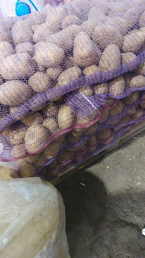 Toptan sebze ve meyve satışı RusFrukt, Perm, foto