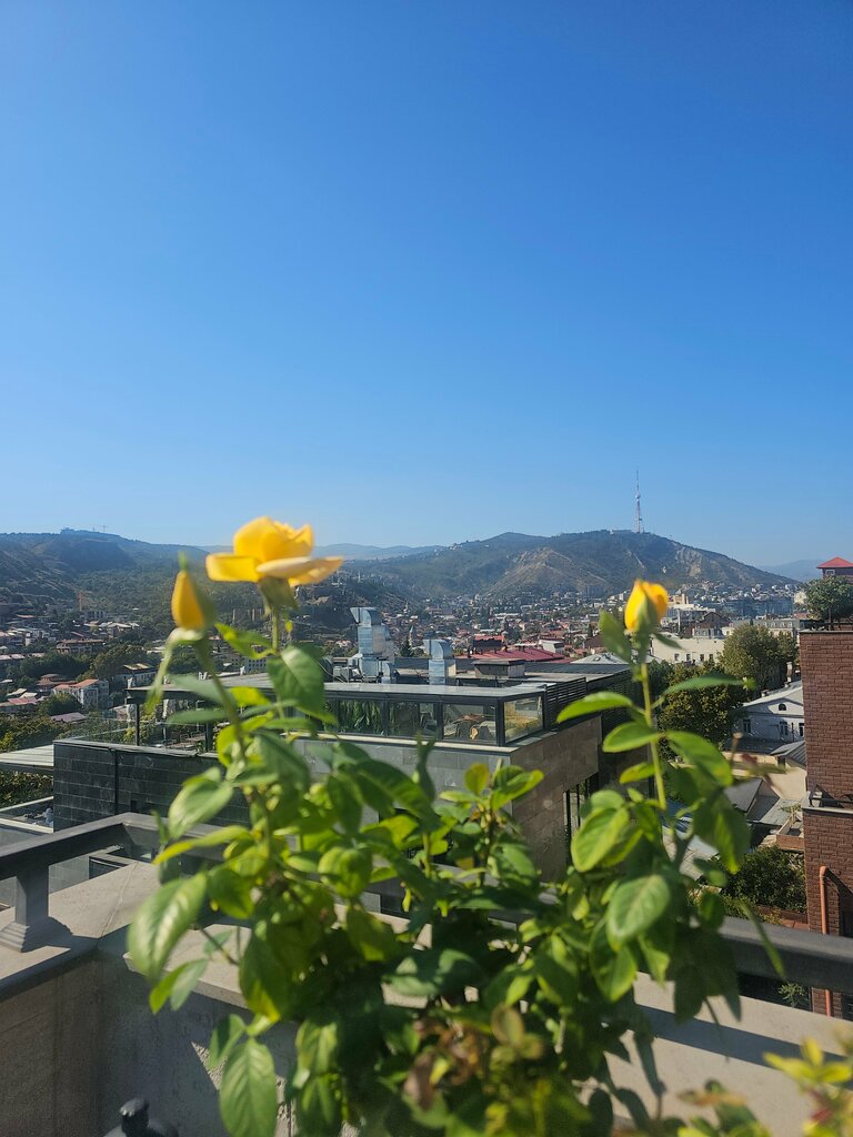 Otel Avlabari Terrace, Tiflis, foto