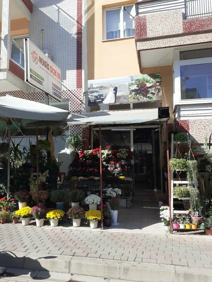 Çiçekçiler Nergis çiçek evi, İzmir, foto