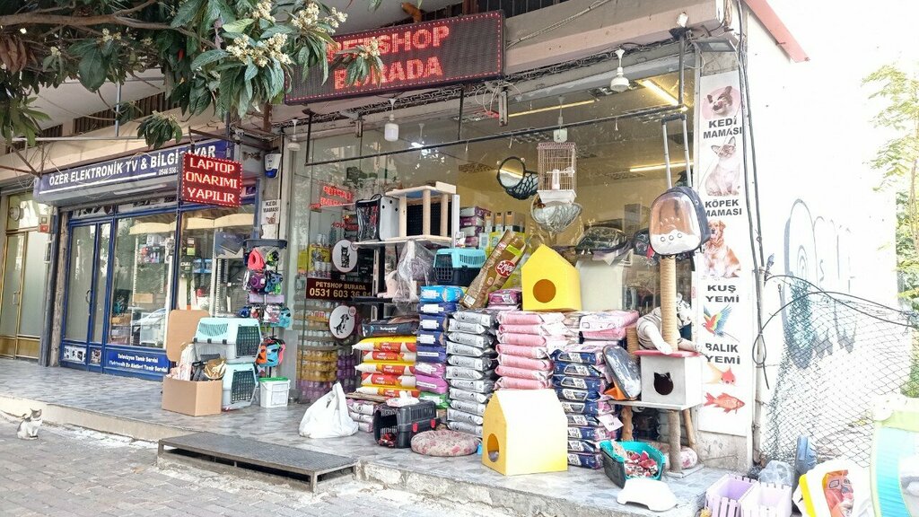 Petshop Burada, İstanbul, foto