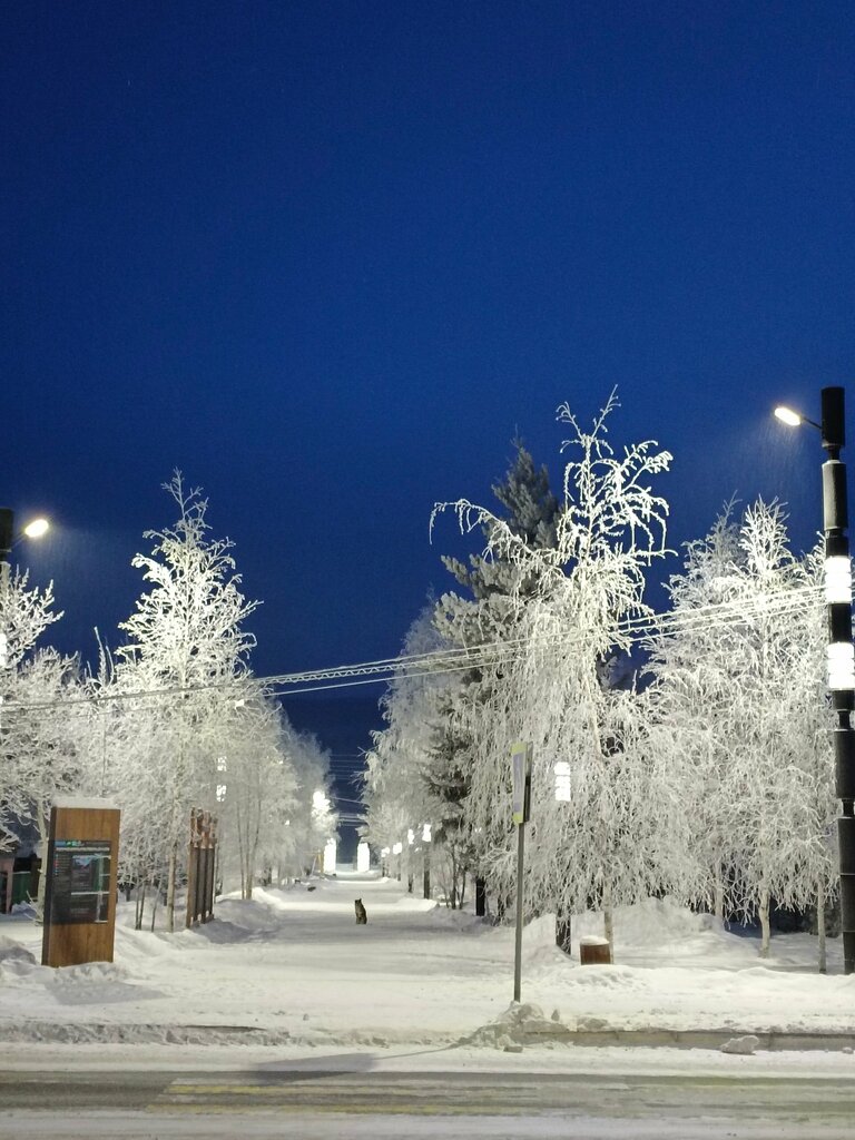 Kültür ve eğlence parkları сквер имени Платона Ойунского, Lensk, foto