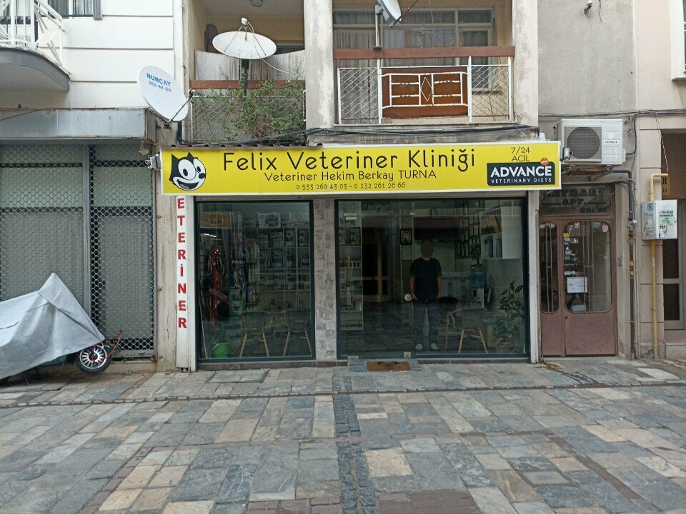 Veteriner klinikleri Felix Veteriner Kliniği, İzmir, foto
