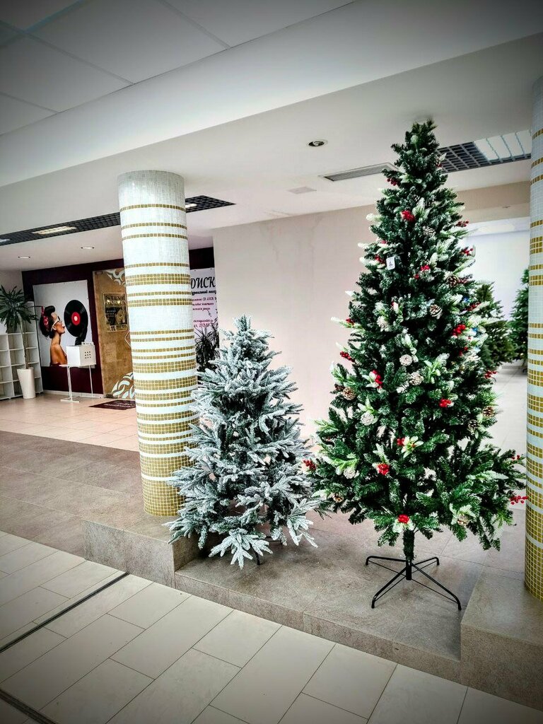 Yapay çam ağaçları ve süsleri Елки в каждый дом, Novosibirsk, foto